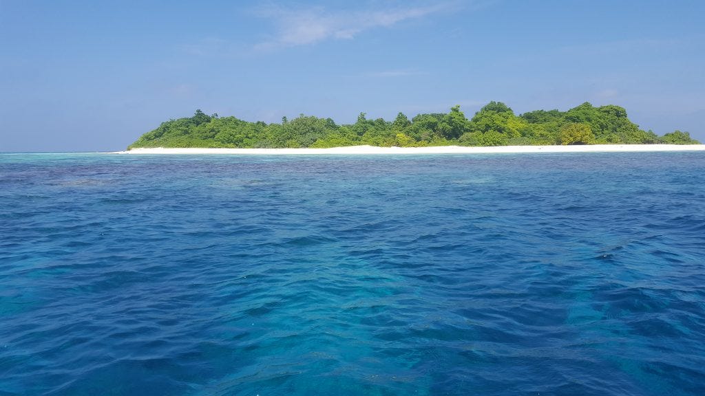 Connect Firebase with Flutter for Android and iOS Apps | by ibrahim ...