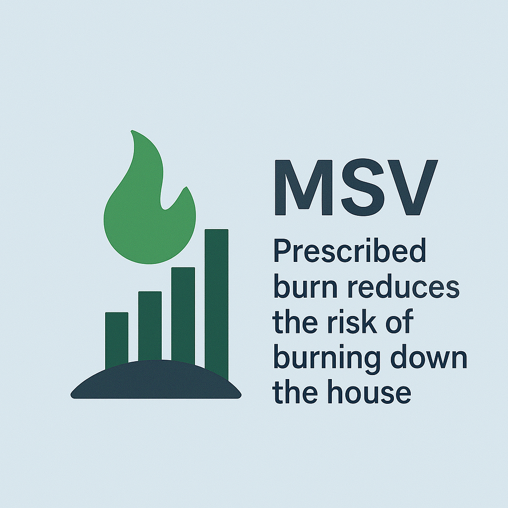 MSV: A Better Way to Scale. 🚀 What Is MSV? | by Ankur Dhawan | Startup ...