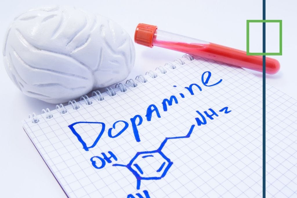 Dopamine’s effect on the Persuasive Ability of Public Speeches | by ...