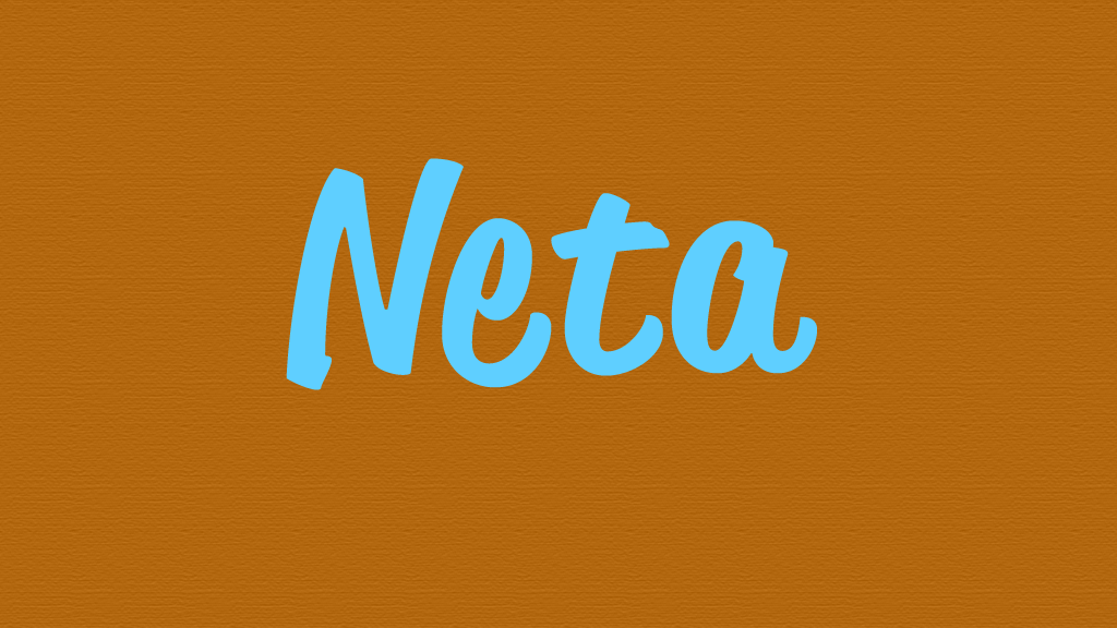 How ‘Neta’ will amplify border voices in the RGV | by Neta | Medium