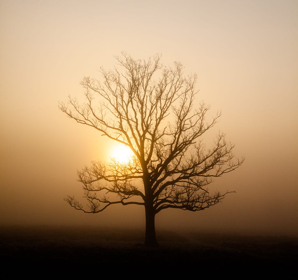 The Inertia of the Static Human. Why You’re Stuck and How to Change ...