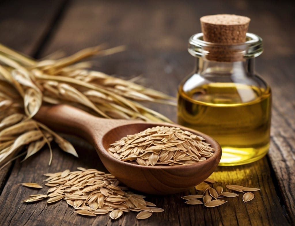 Oat Oil Processing Plant Report 2024: Industry Trends, Requirements for ...