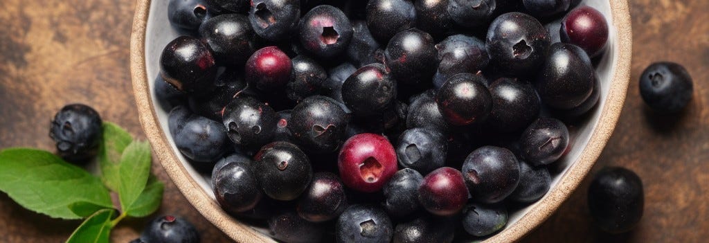 Unlocking the Secrets: Maqui Berry Extract’s Dual Impact on Blood Sugar Regulation | by Bo ...