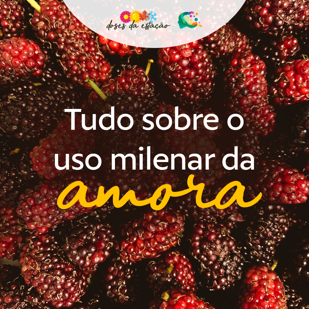 Saiba mais sobre o uso milenar da amora | by Thays Ferreira de Araujo | Medium