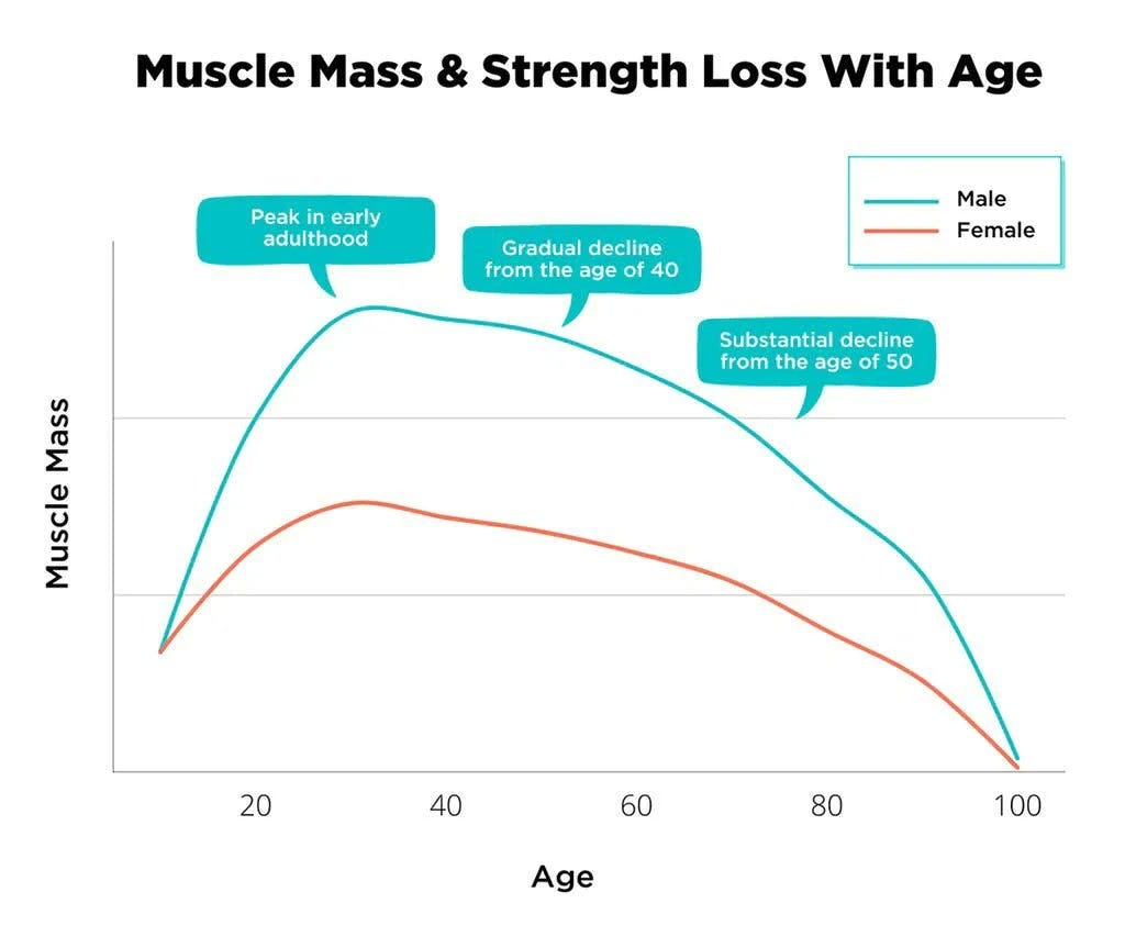 The Vital Role of Muscle Mass in Healthy Aging | by Markus Laukkonen ...