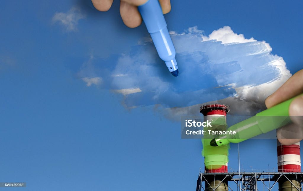 🔋Carbon Offsetting: Greenwashing in Disguise? | by Kaisa Hansen | Feb ...