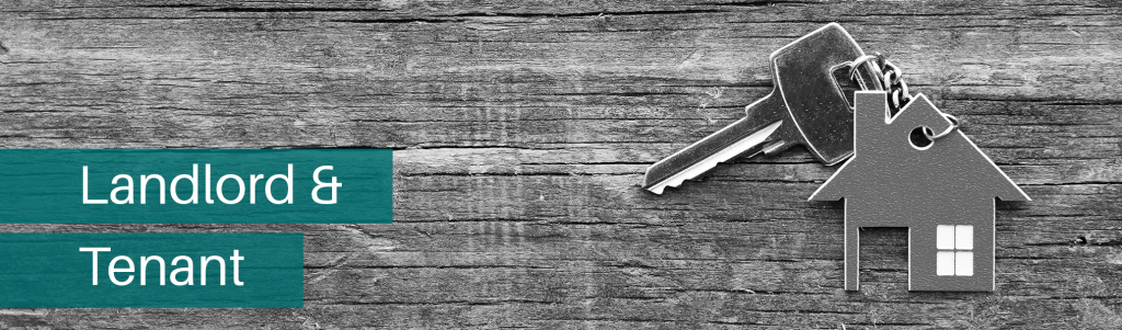 Tenant Information. We provides landlord associations with… | by My ...