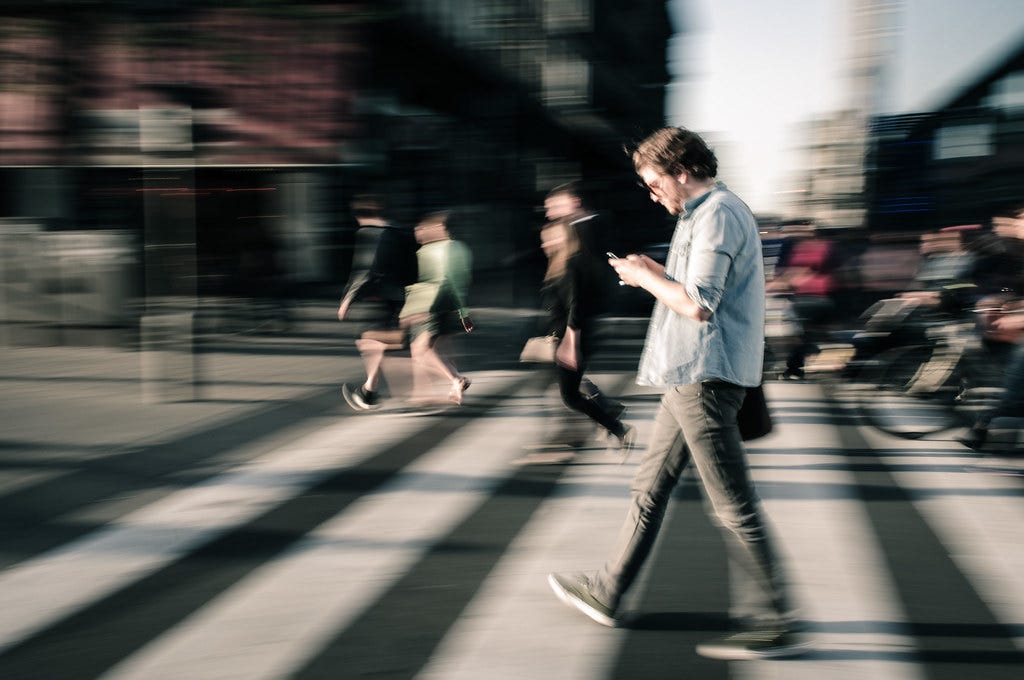 Rat Race. Two lab rats, when placed in an… | by Akeel Salahudeen | Medium