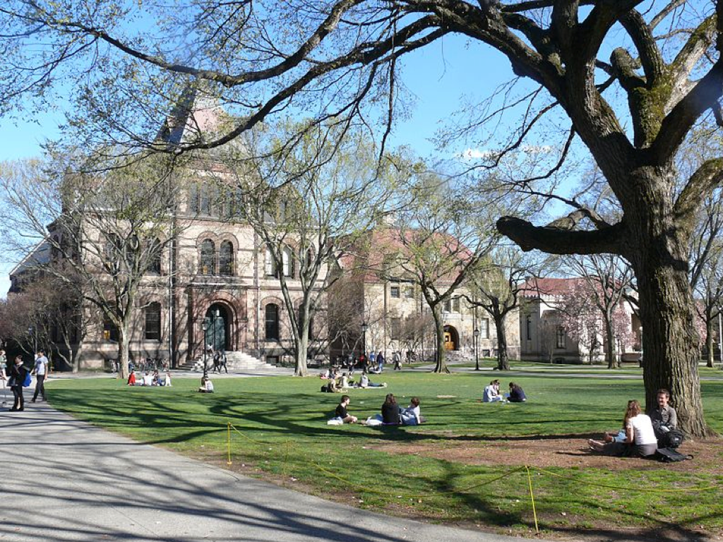 Brown University Bears
