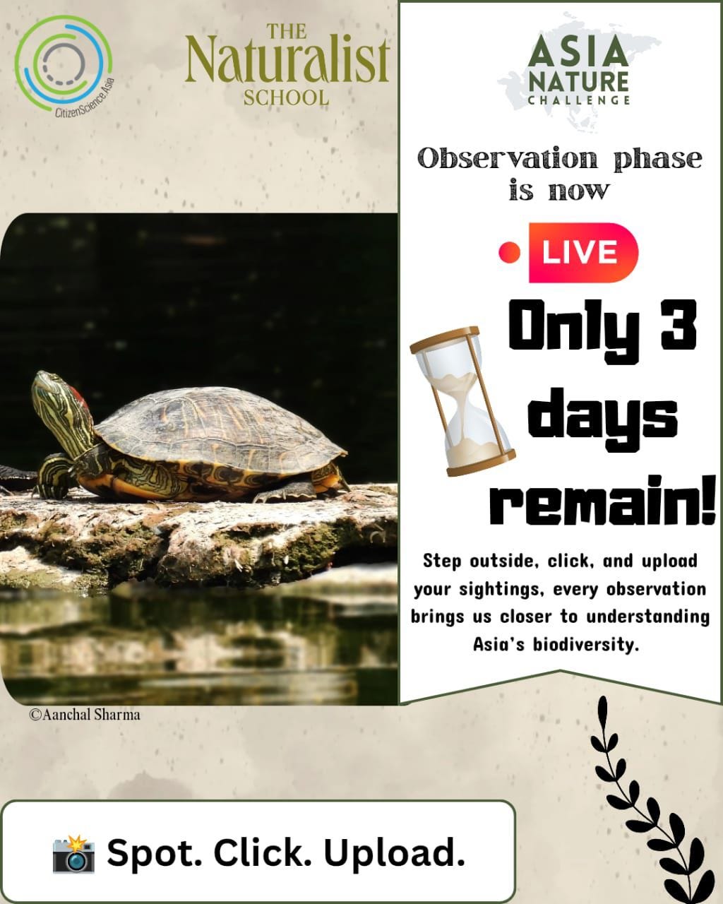 Asia Nature Challenge 2025 is Go! | by Scott C Edmunds | The ...