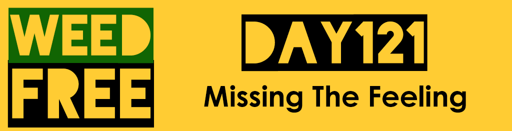 Missing the Feeling #WeedFree | Day 121 | by Live Weed Free | Medium