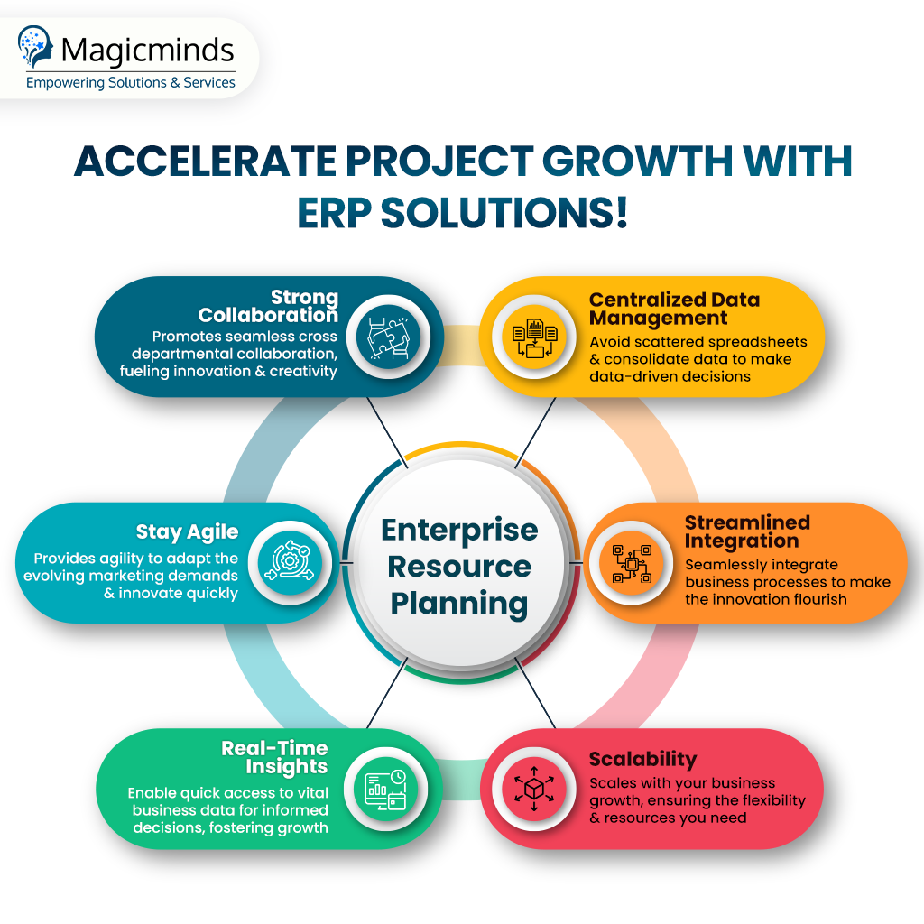 Top 7 Reasons to Prefer ERP Software Development to Boost Productivity ...