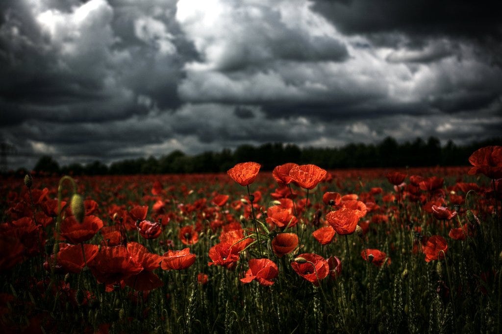 Remembering the Great War 100 Years On | by John Milby | Homeland ...