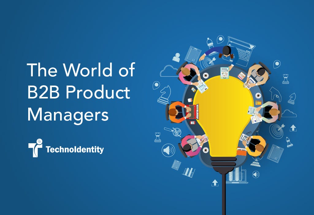 Navigating the B2B Software Landscape: Insights from a Product Manager ...