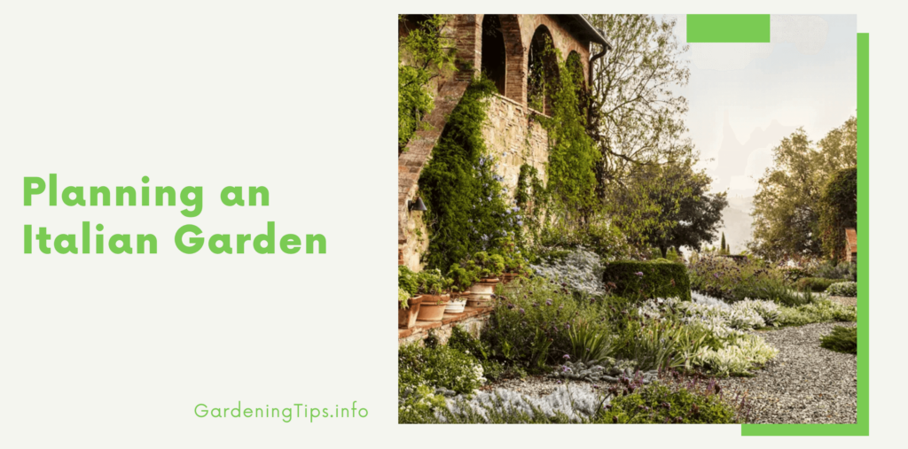 Planning an Italian Garden - Gardening tips - Medium