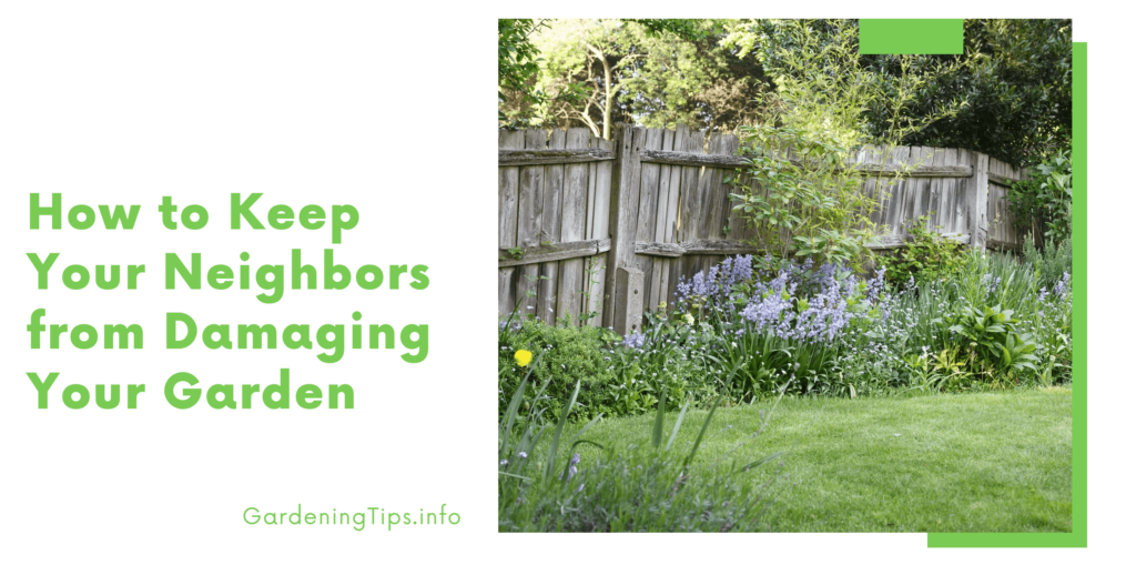 How to Keep Your Neighbors from Damaging Your Garden — Gardening Tips ...