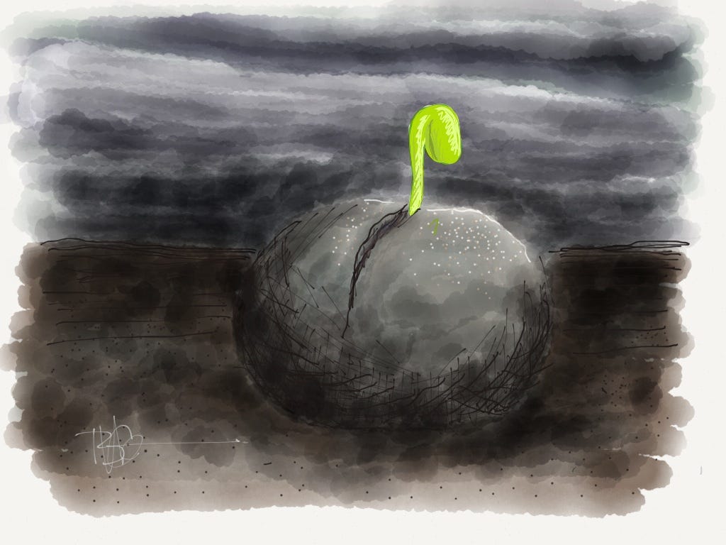 Seed in a Storm. Will Seed get battered by the tumult or… | by Lauren ...