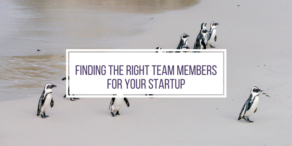 Finding the Right Team Members for Your Startup | by Michael Malatin ...