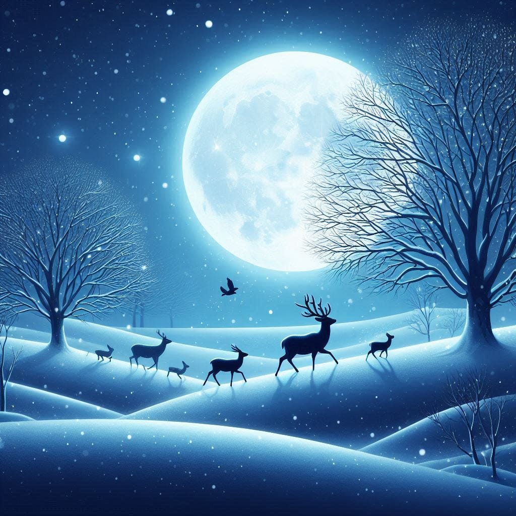 Night of the Winter Moon. Mystical Adventure ~ Week #9 🔮 | by Pranav ...