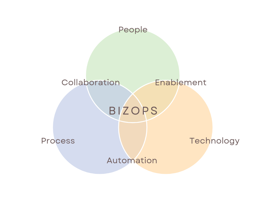 So This Is BizOps in a Startup. Making sense of Business Operations ...