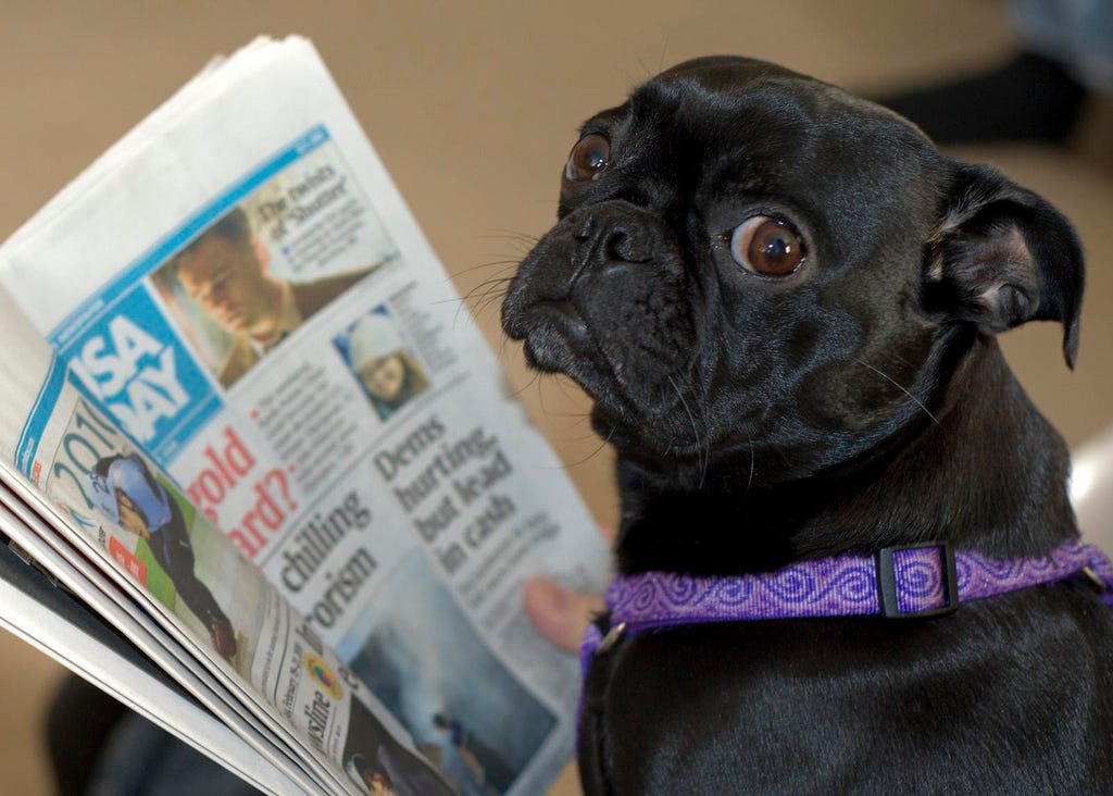 Can Journalism Compete with Animal Videos? | by Social Media 2018 ...