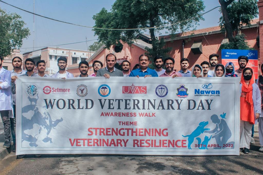 SAVERS strengthening the veterinary resilience | by Sabaahmad | Jun ...