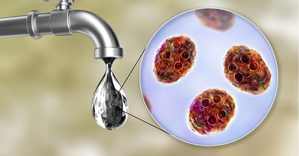Common Water-borne Diseases, Causes, Symptoms and Prevention Measures ...
