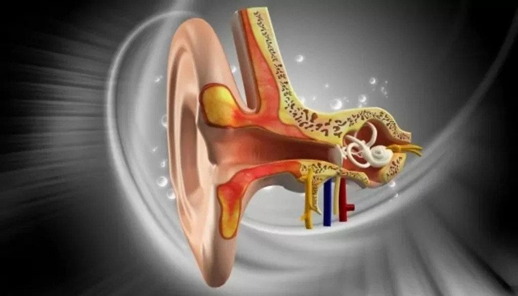 Hearing and Balance Medicine - Roshiitajo - Medium
