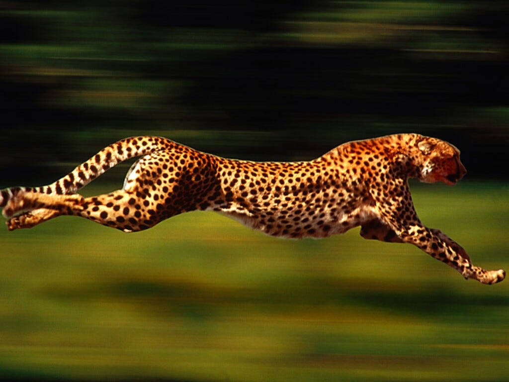 How To Achieve More 10x Faster. Everybody wants this. Especially when ...