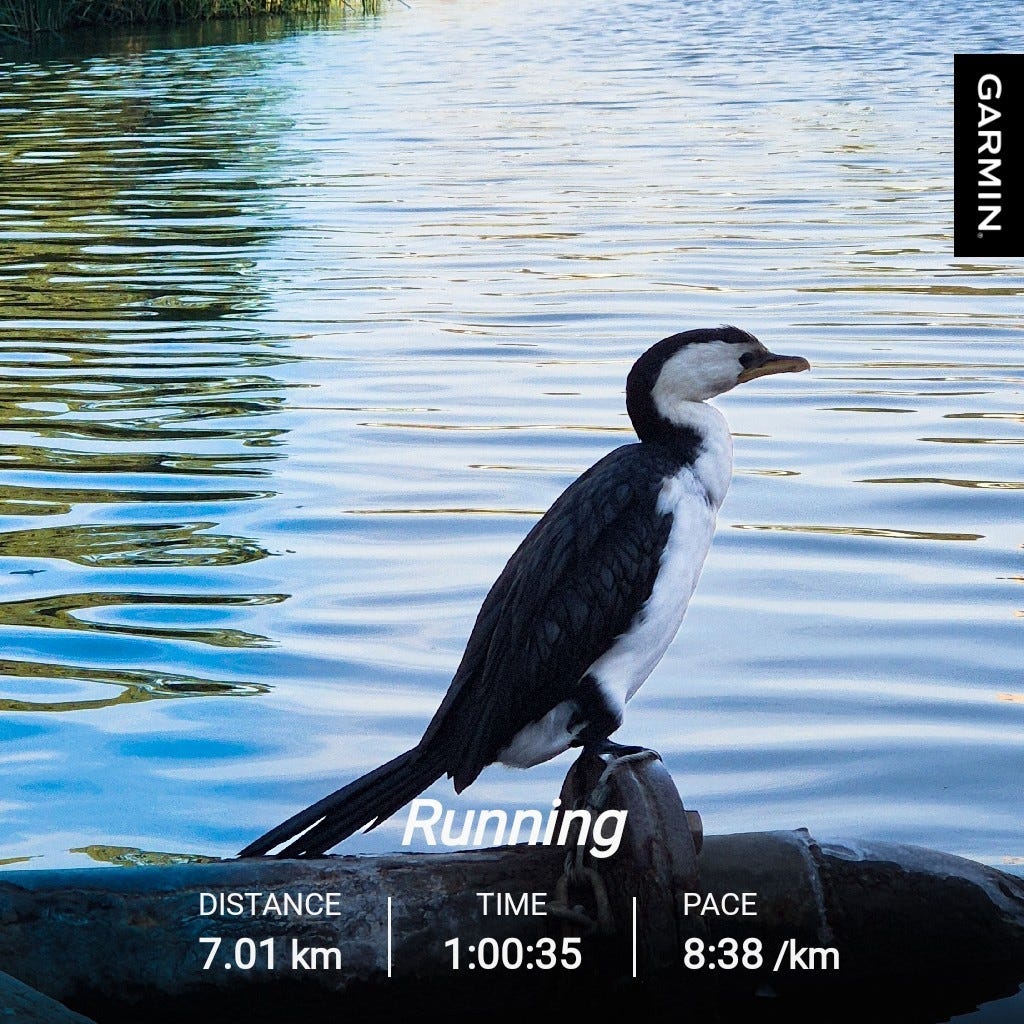 Restart Again — 5 small bad habits quietly mess with our consistency ...