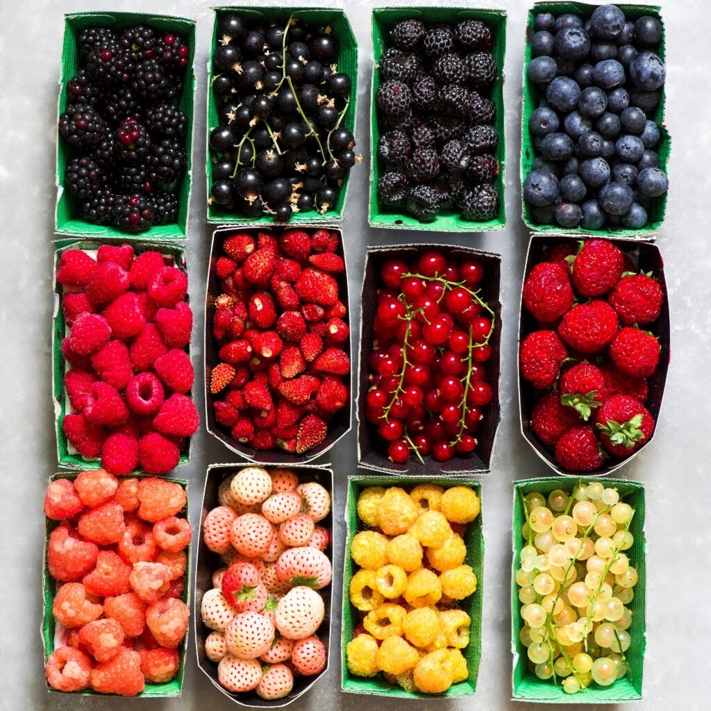 The role of different types of berries for our skin and good health ...