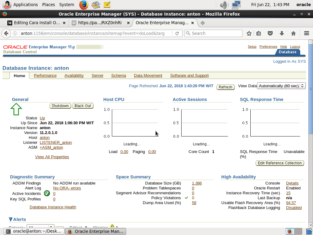 Cara Install Oracle Grid/Rac serta Database 11gR2 di Oracle Linux 6.* PART 2 | by Cecep Budiman ...