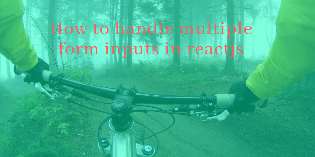 How To Handle Multiple Form Inputs In Reactjs By Ajay Singh Zestgeek Medium 0229