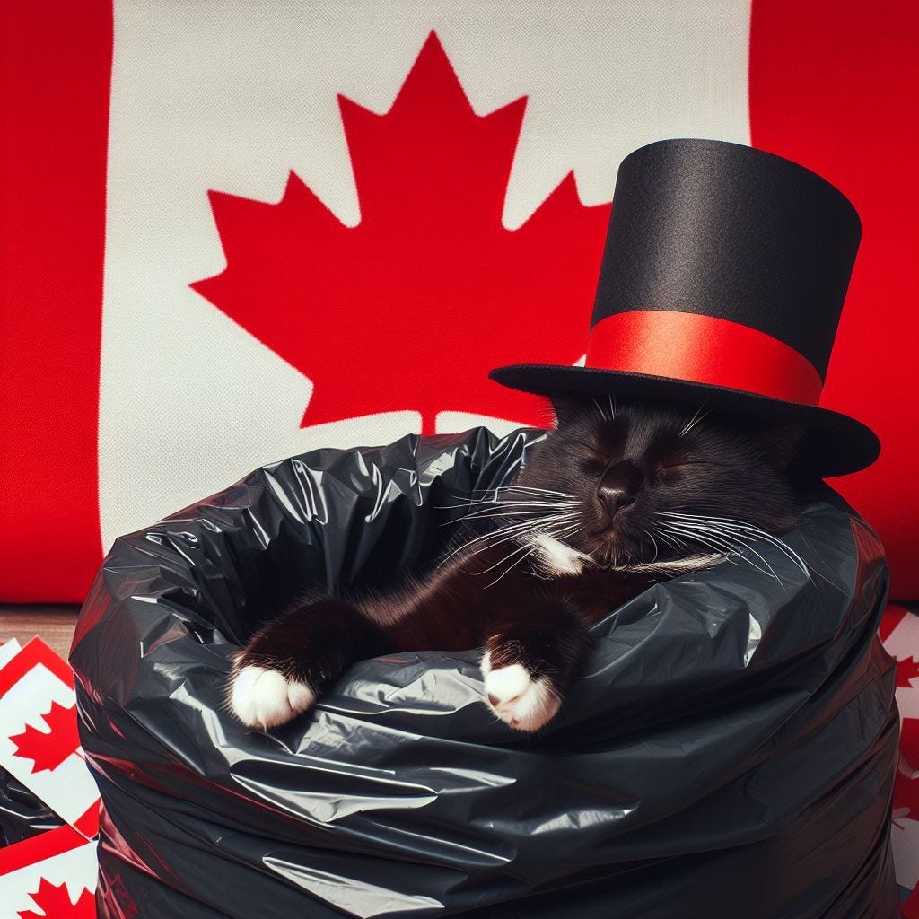 National Flag of Canada Day & Trash Bag - 1TrashBag2TrashBag - Medium