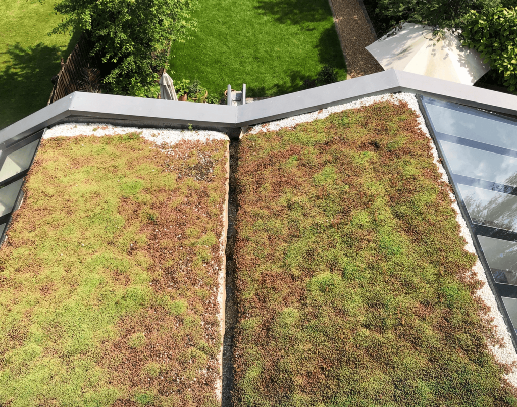 Green Roofs: the Grass is Always Greener… On the Roof? — Roofing Tips ...
