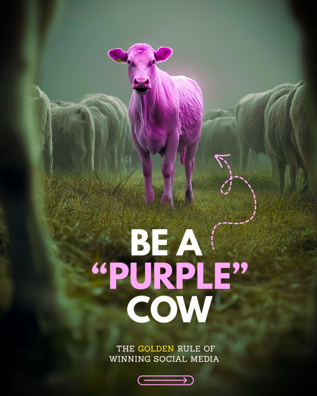 Be a Purple Cow: Simple Tricks to Stand Out Online | by Addie | New ...
