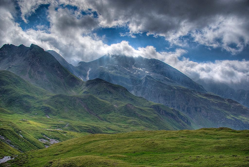 Why the climate crisis is making our insects run for the hills | by ...