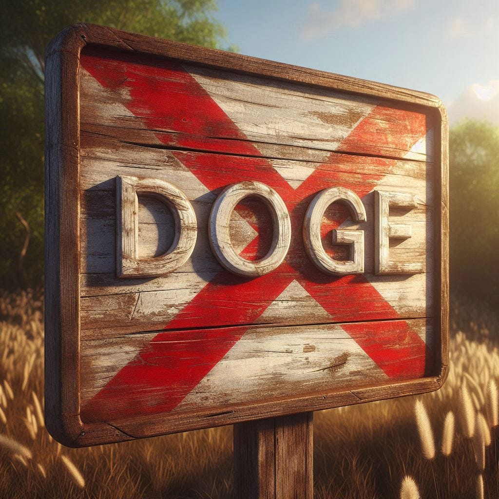 The Doge Shutdown Explained: What Really Happened, Why It Matters, and ...