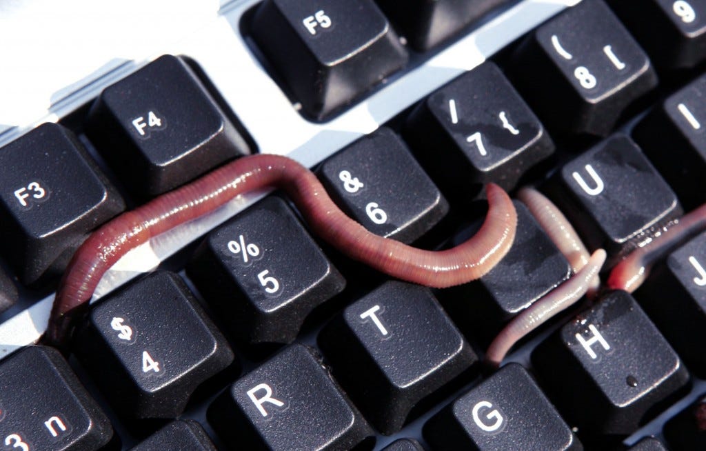 Internet Worm