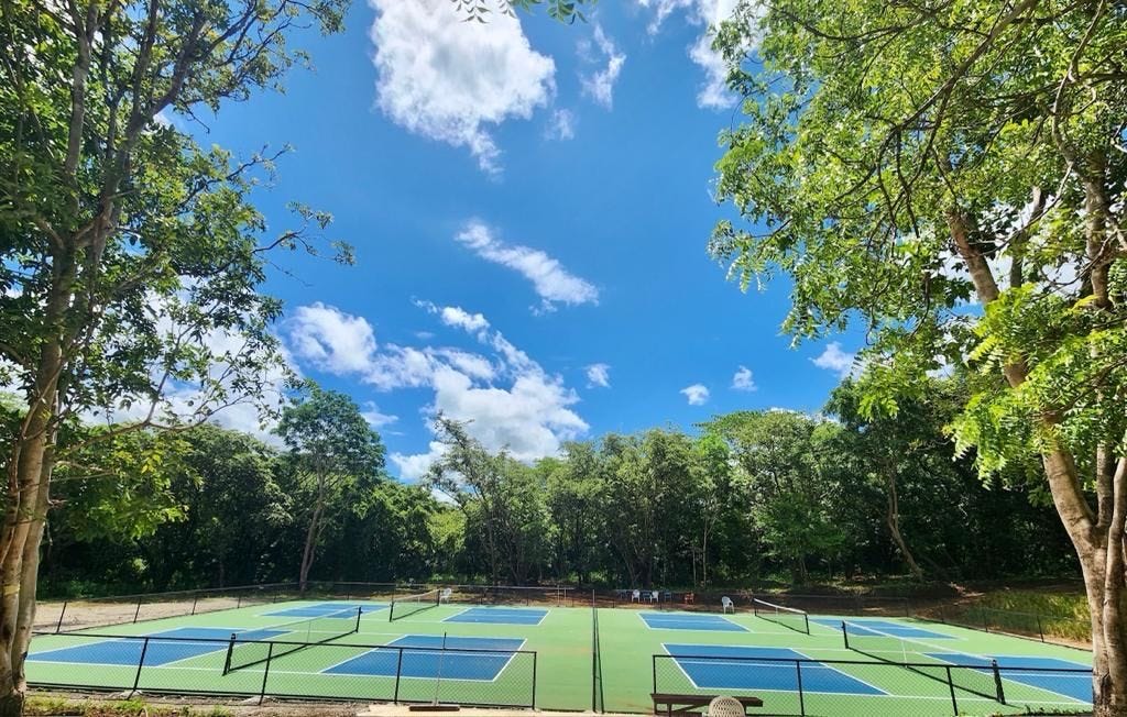 Sublime Serves and Sun-Kissed Courts: A Dive into Pickleball ...