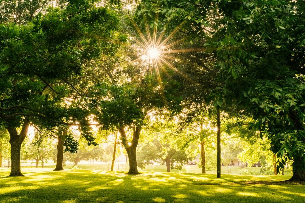How to Embrace Spirituality for More Personal Growth | by Suzanne Kane ...