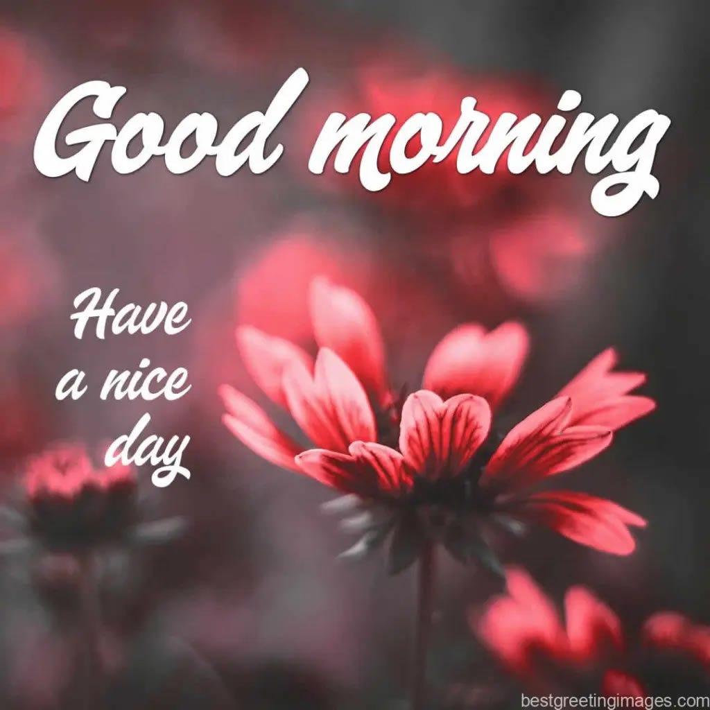 Best Greeting Images. Large variety of beautiful and… | by ...