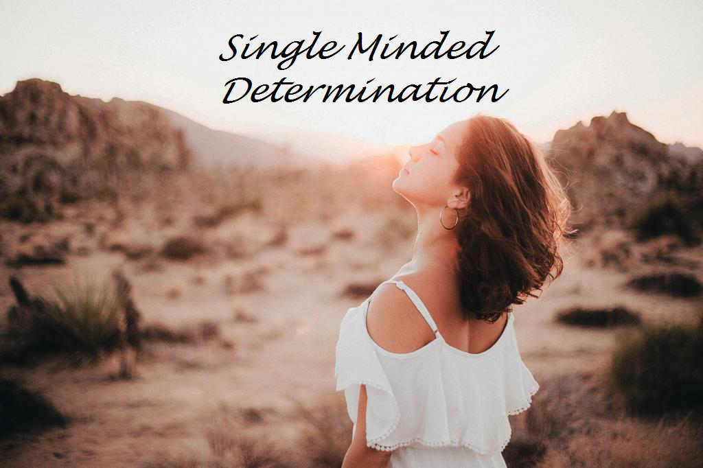 Single Minded Determination. So facing the difficulties of the… | by ...