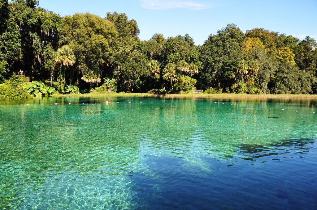 Florida’s Springs. The Springs | by Emily Olmos | Sociological ...