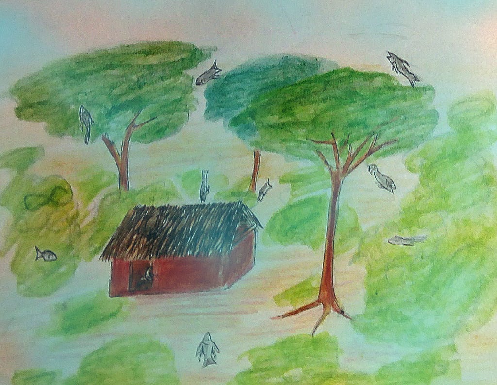 Drowning Valleys. When what was land becomes river | by Manasa Kashi ...
