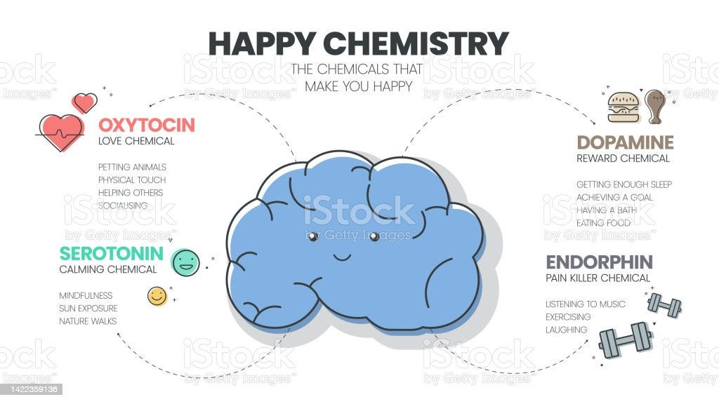 Understanding Brain Hormones By Wafa Oukka Medium