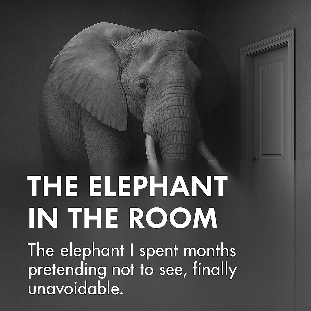The Elephant in the Room. I always wished it wouldn’t happen… | by Padmaja Barada | Aug, 2025 ...