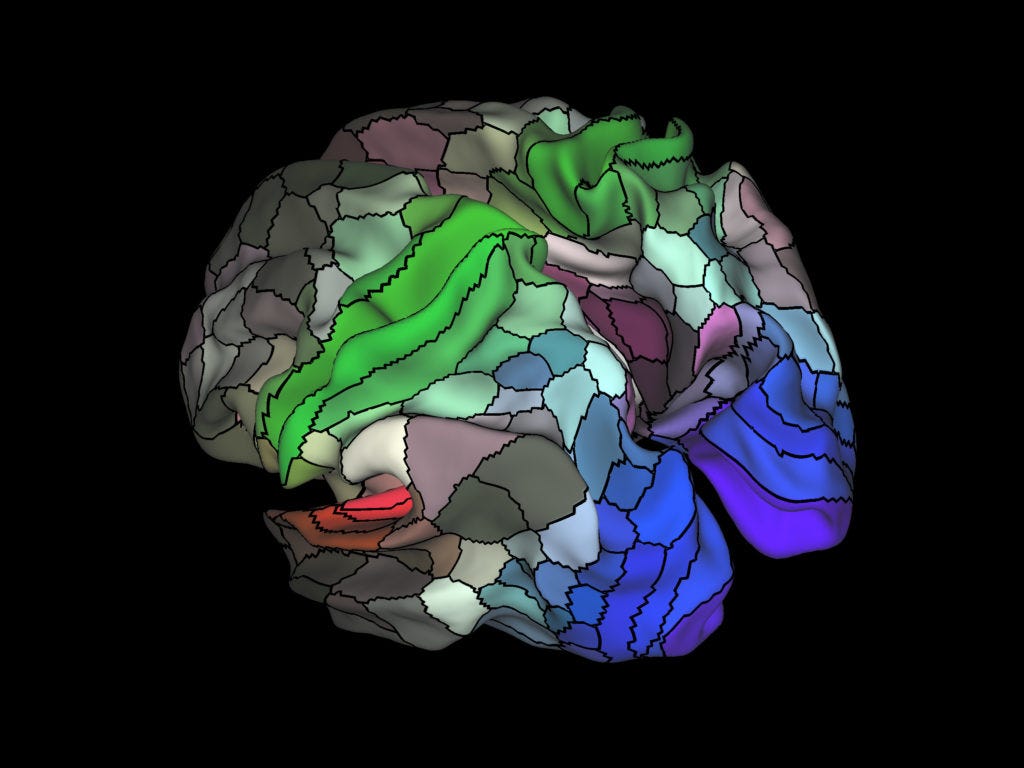 A New Map and Understanding of the Brain | by Josiah Hultgren ...