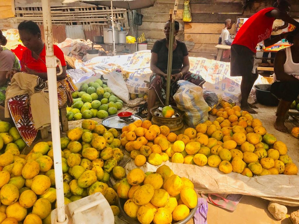 From farm to waste — what can we learn from the mango season in Nigeria ...