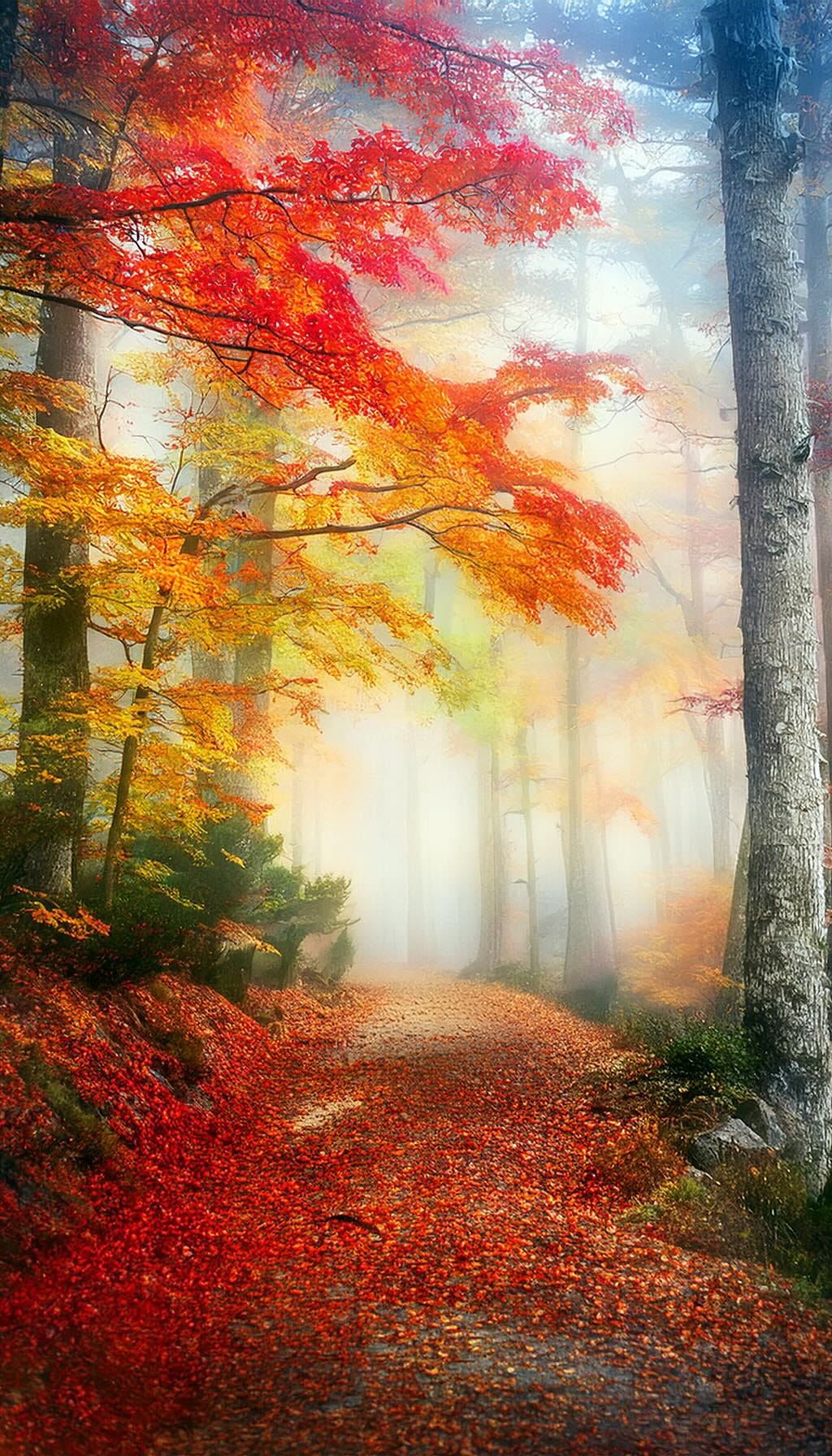 Autumn’s Embrace: A Journey Through the Smoky Mountains | by Printique ...